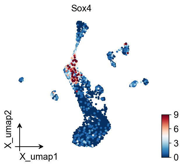 Visualization of single cell RNA-seq - omicverse